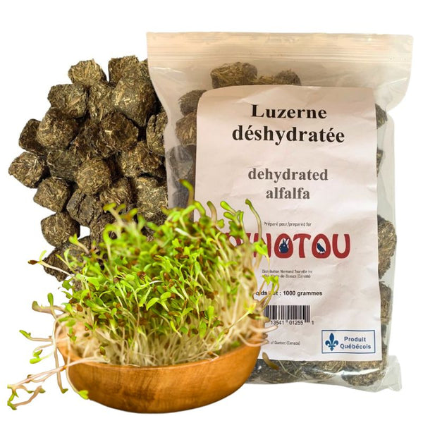 CUBES DE LUZERNE DÉSHYDRATÉE POUR RONGEURS ET LAPINS - 1000 G ...